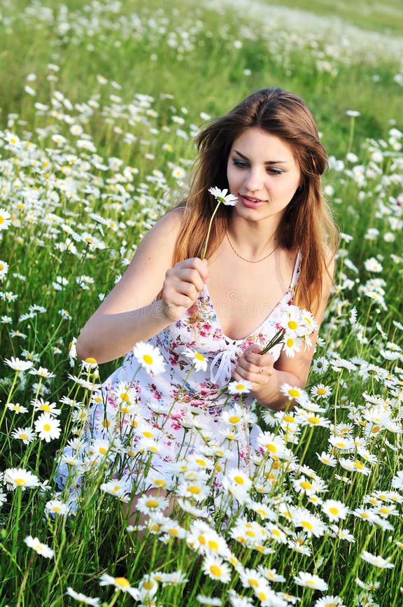One daisy, two daisy stock photo. Image of carefree, nature - 14758822
