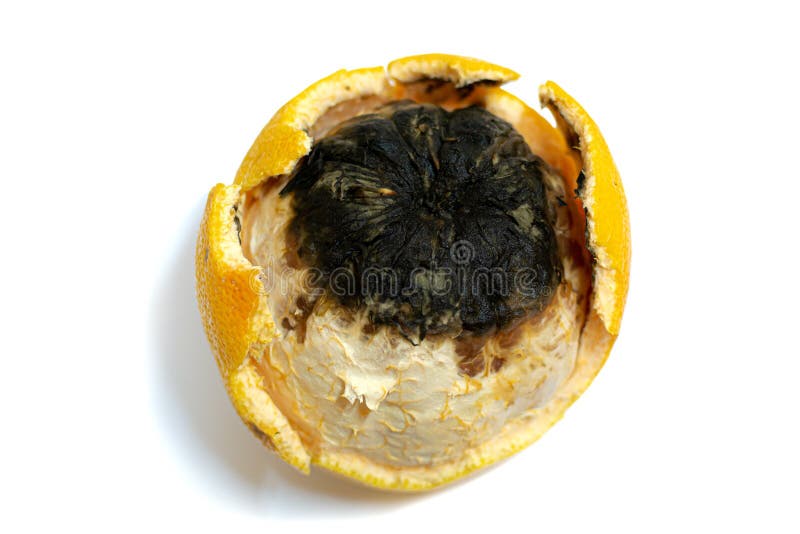 Deformed Grapefruit Stock Photos - Free & Royalty-Free Stock Photos ...