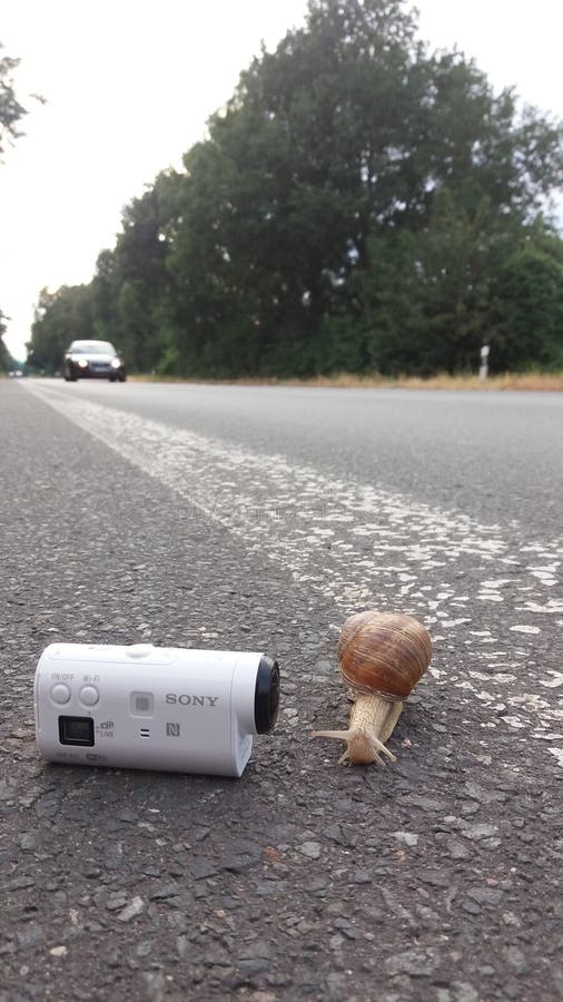 One Day, a Curious Snail Had an Intriguing Encounter with an Old Camera ...