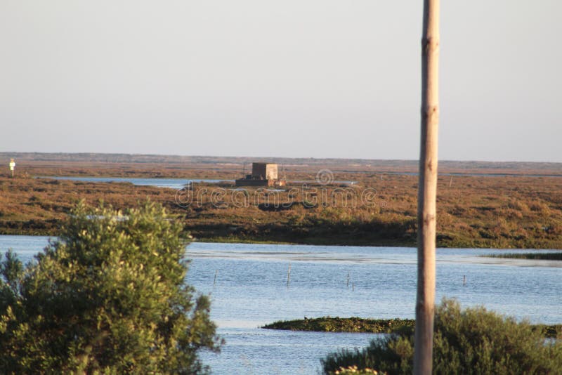 One day on the river stock image. Image of ambiance, faro - 89931815