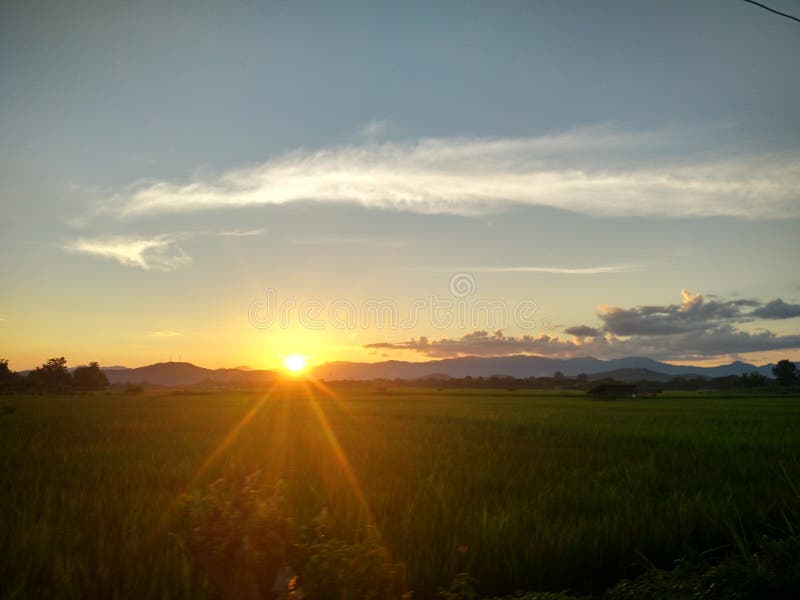 Sunset on Rice Farm in Nan,Thailand Stock Image - Image of leaf, ornate ...