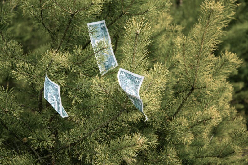 Dollar Tree Washing Baskets Stock Photos - Free & Royalty-Free Stock ...