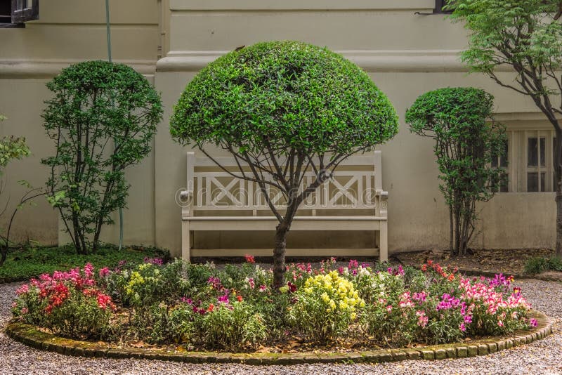 One Dome Shaped Green Tree in the Garden. Stock Image - Image of nature ...