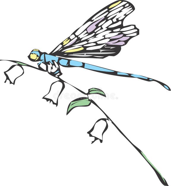 One Dragonfly stock vector. Illustration of hunt, wings - 9024142