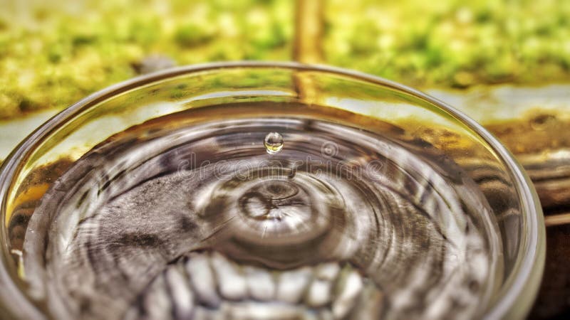 One Drop of Mineral Water in a Clear Glass Stock Photo - Image of water ...