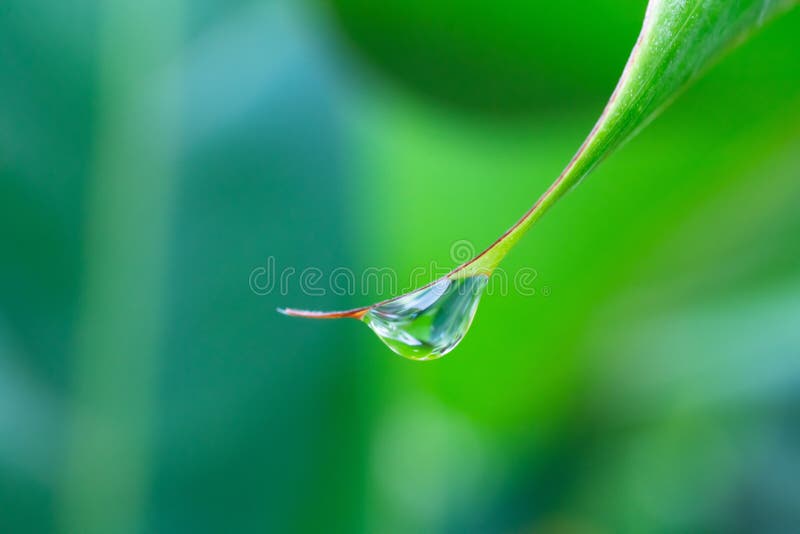 One drop only will fall stock image. Image of natural - 119902591