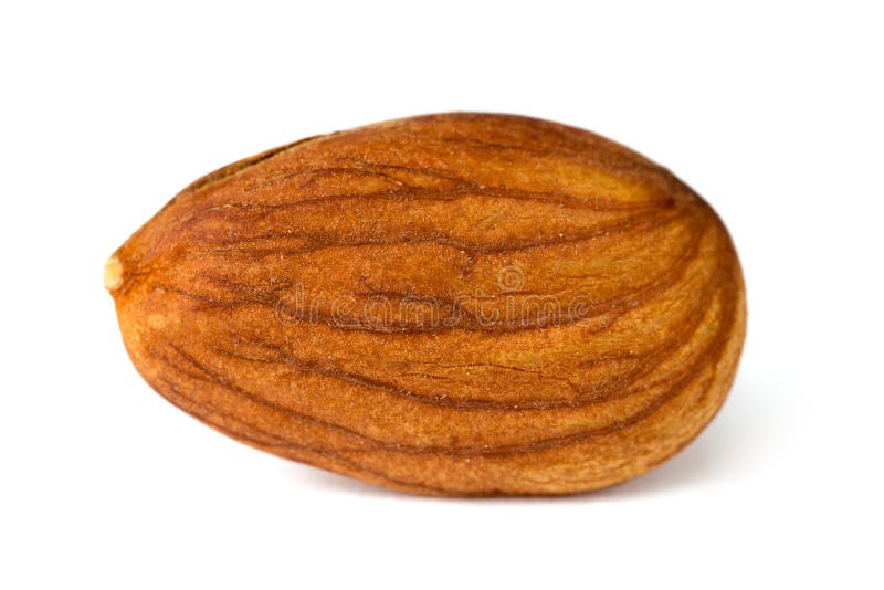 146 Apricot Pip Stock Photos - Free & Royalty-Free Stock Photos from ...