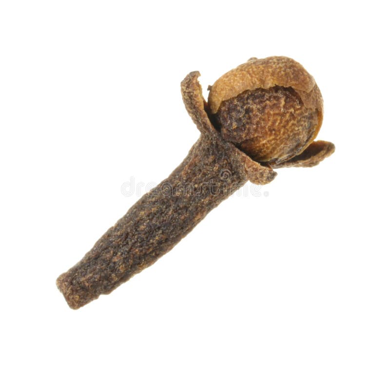 One Dry Clove Bud Isolated on White. Aromatic Spice Stock Image - Image ...