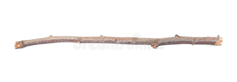 One Dry Tree Twig Isolated on White Stock Photo - Image of natural ...