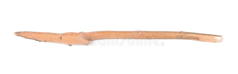 One Dry Tree Twig Isolated on White Stock Image - Image of fire, brown ...