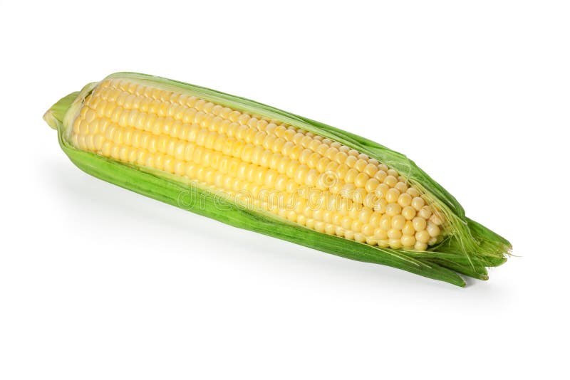 One ear of corn stock image. Image of nutrition, healthy - 57805229