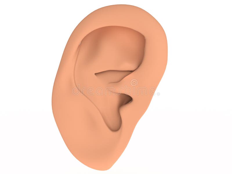 One ear #3 stock illustration. Illustration of anatomy - 35492804