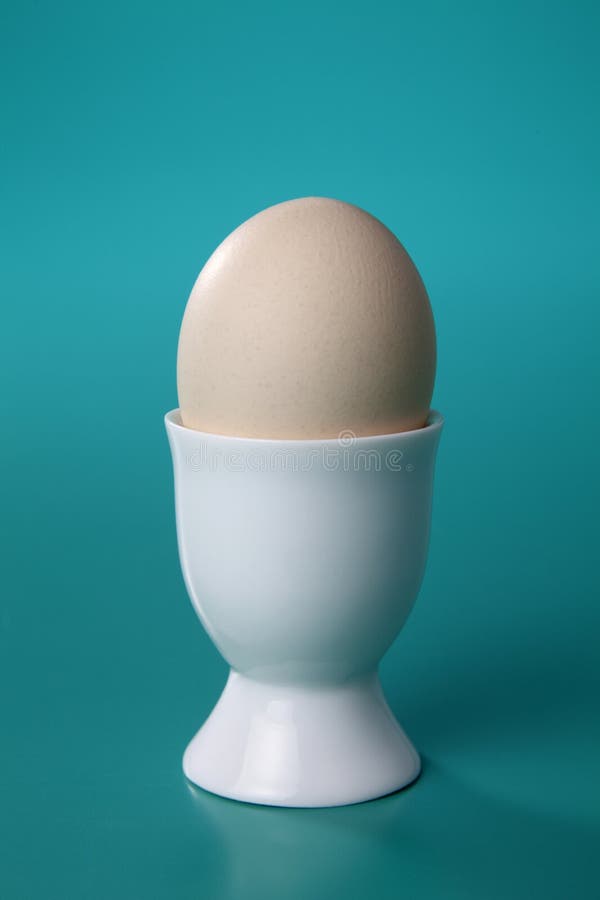 One egg stock image. Image of dessert, standing, organic - 17999709