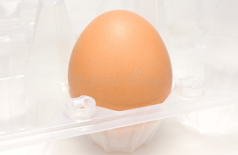 One egg stock photo. Image of healthy, chicken, eggbox - 24006800