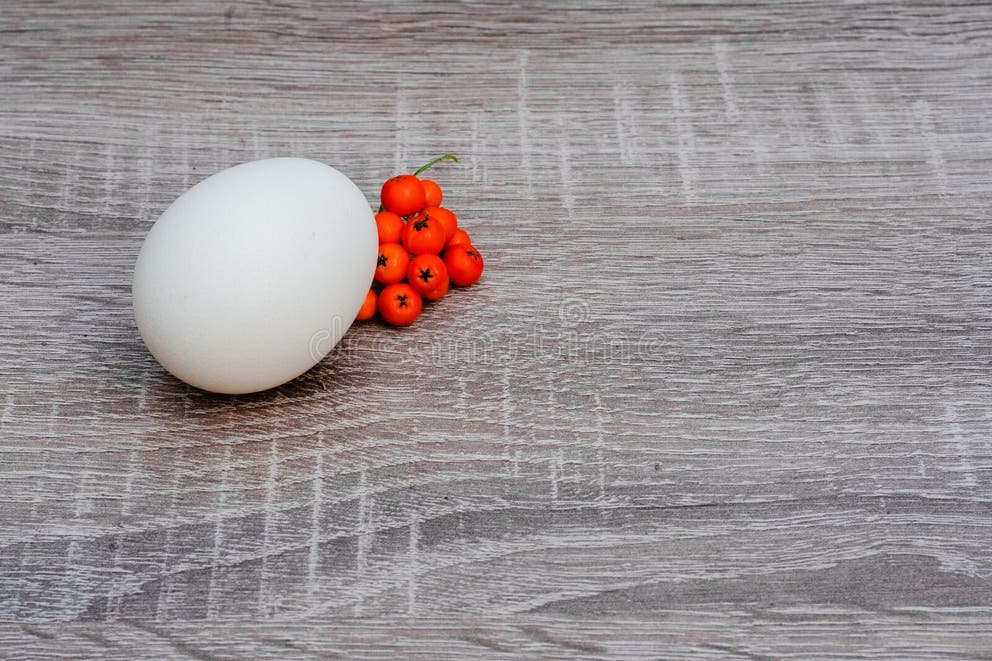 One Egg and Berries on the Light Background Stock Photo - Image of ...