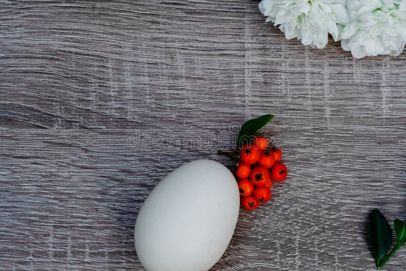 One Egg and Berries on the Light Background Stock Photo - Image of ...