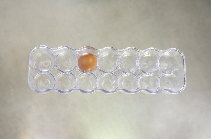 One Egg in the Box. Container for Eggs Isolated Stock Photo - Image of ...