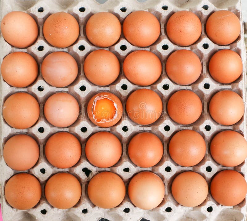 One Egg is Different from Other Eggs Stock Photo - Image of healthy ...