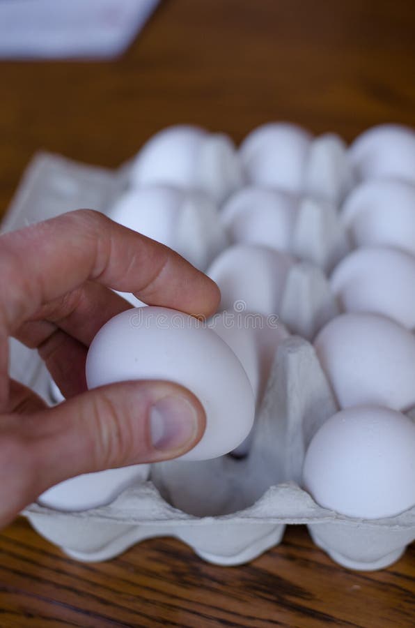 Egg picked by hand stock photo. Image of farm, healthy - 115086974