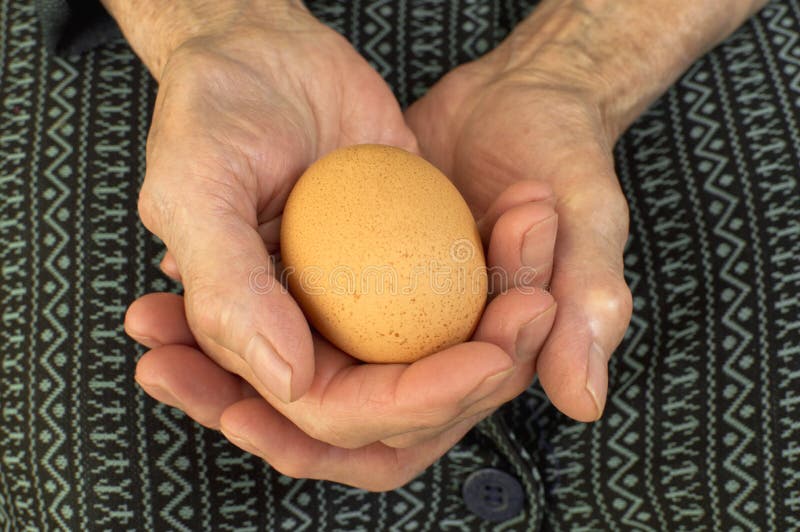 One egg in hand. stock image. Image of farming, produce - 30864187