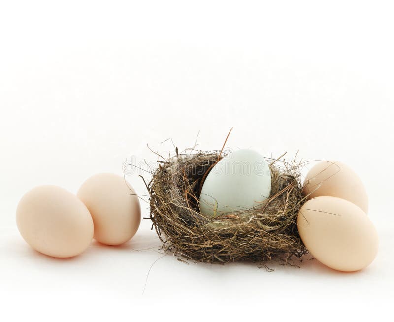 One Egg Inside the Nest and Four Eggs Outside Stock Photo - Image of ...