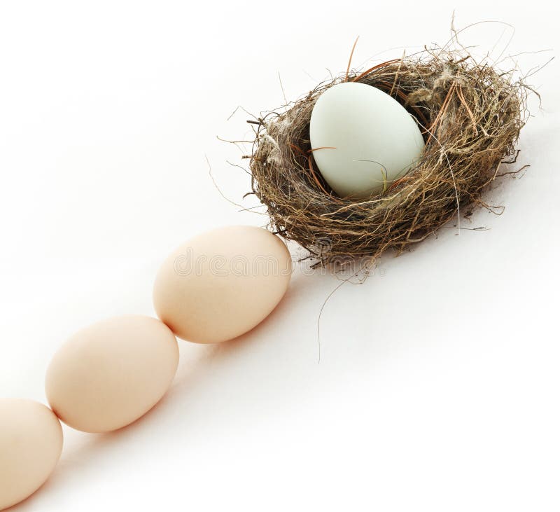 Two eggs inside the nest stock image. Image of together - 48635425