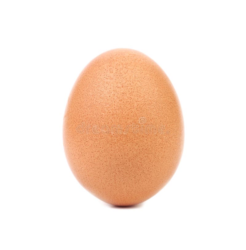 One Egg stock photo. Image of diet, food, agriculture - 38563148