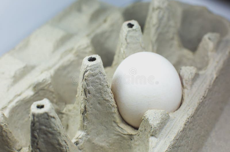One Egg in Pack Box. Loneliness Concept Stock Image - Image of food ...