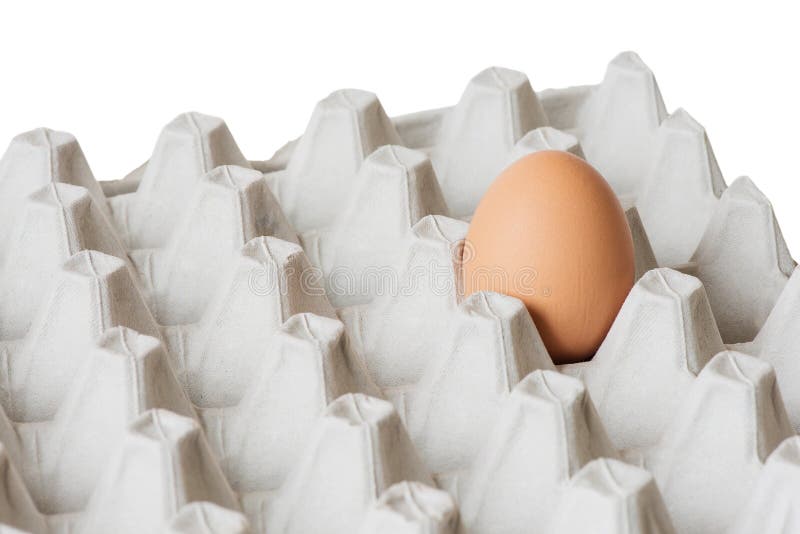 One egg in the package stock image. Image of close, poultry - 52735787