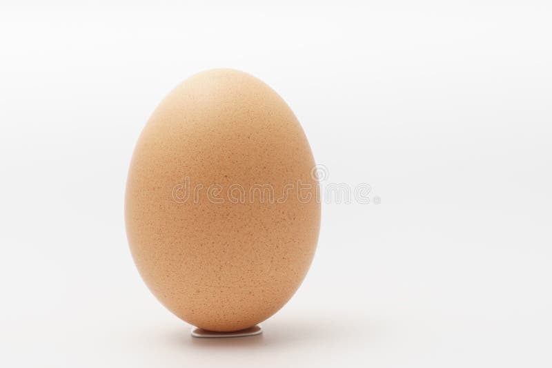 One Egg on a White Background Stock Image - Image of easter, cardboard ...