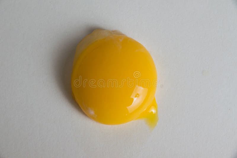 One Egg Yolk without Protein Isolate on a White Background Stock Photo ...