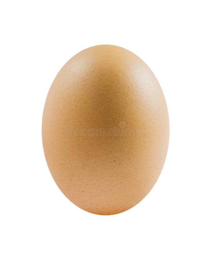 One eggs stock photo. Image of shape, animal, protein - 26613442