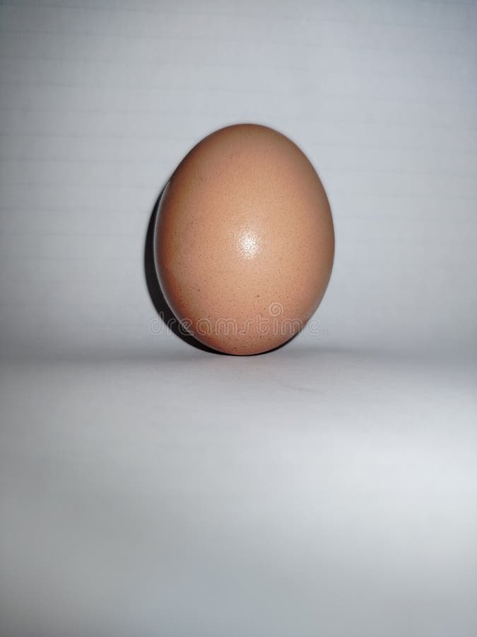 One eggs on a white paper stock photo. Image of five - 294928754