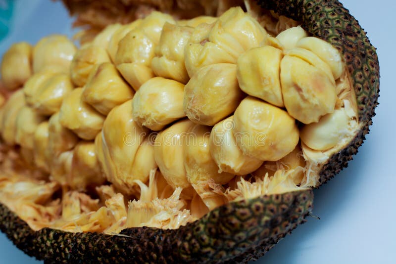 Cempedak fruit stock photo. Image of malaysian, cempedak - 124786936