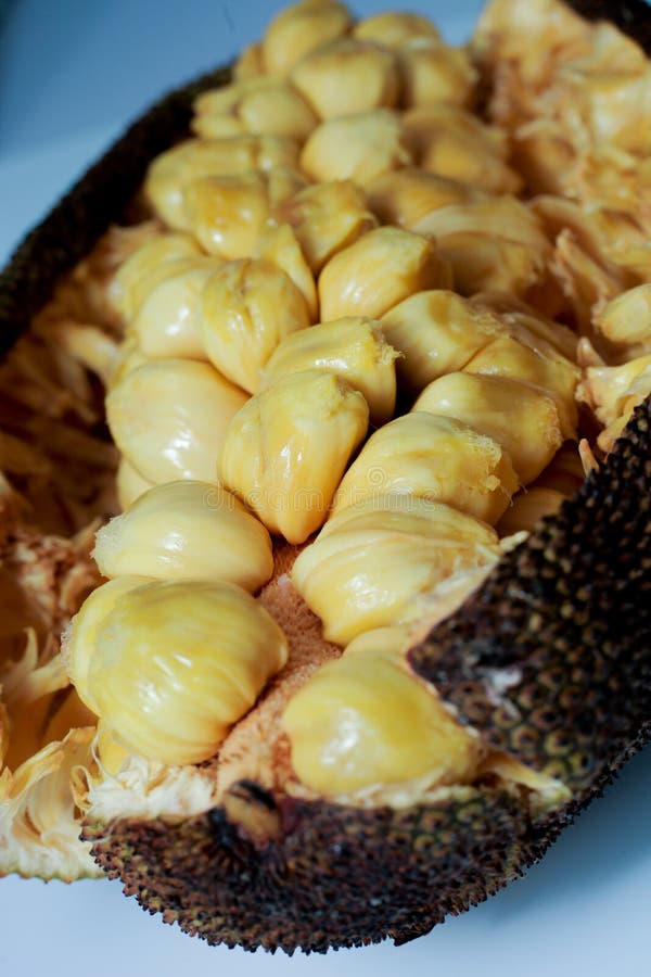 Cempedak fruit stock image. Image of left, cempedak - 124786901