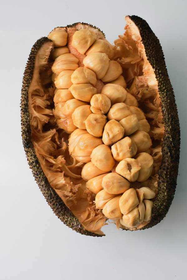 Cempedak fruit stock image. Image of left, cempedak - 124786901