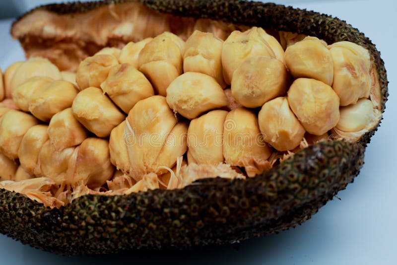 Cempedak fruit stock image. Image of left, cempedak - 124786901