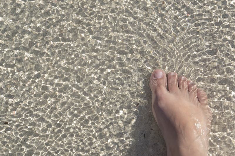 One Female Leg in the Water. Sandy Beach on the Ocean Stock Image ...