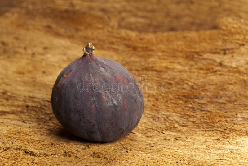 One fig on bark stock photo. Image of close, juicy, sweet - 27245382