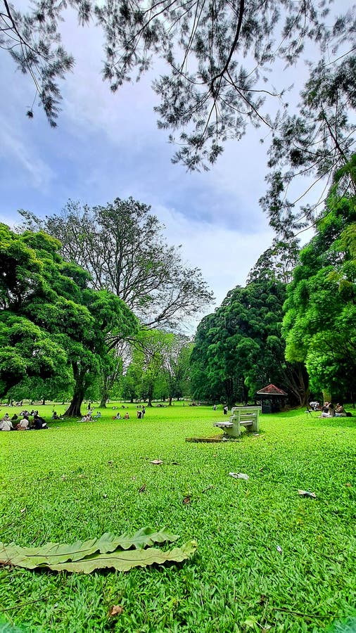 One Fine Day at Bogor Botanical Garden Stock Image - Image of nature ...