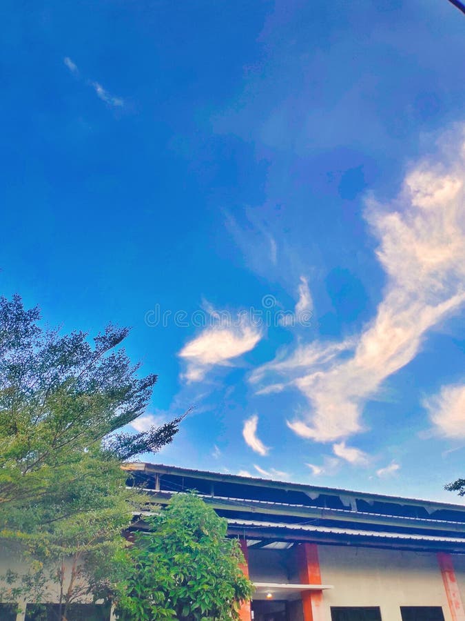 One Fine Morning at the Mall Stock Photo - Image of mall, fine: 262672094