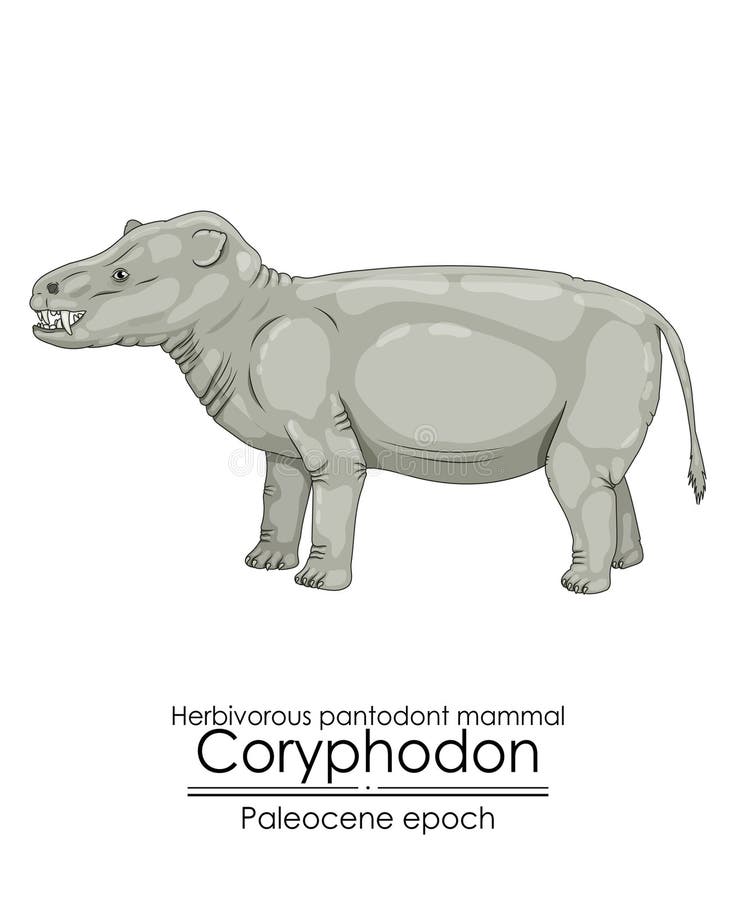 One of the First Mammals, the Pantodont Coryphodon Stock Vector ...
