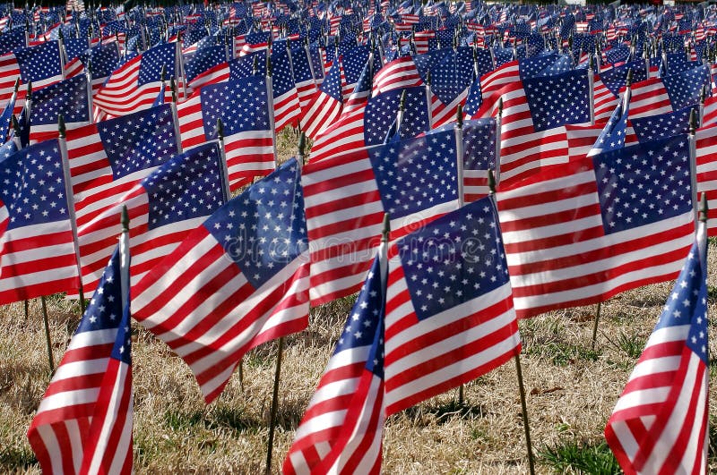 One Flag stock photo. Image of grave, freedom, fight, country - 540628