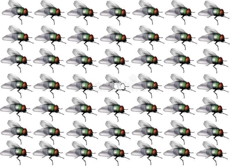 Going Different Way Stock Illustrations – 234 Going Different Way Stock ...