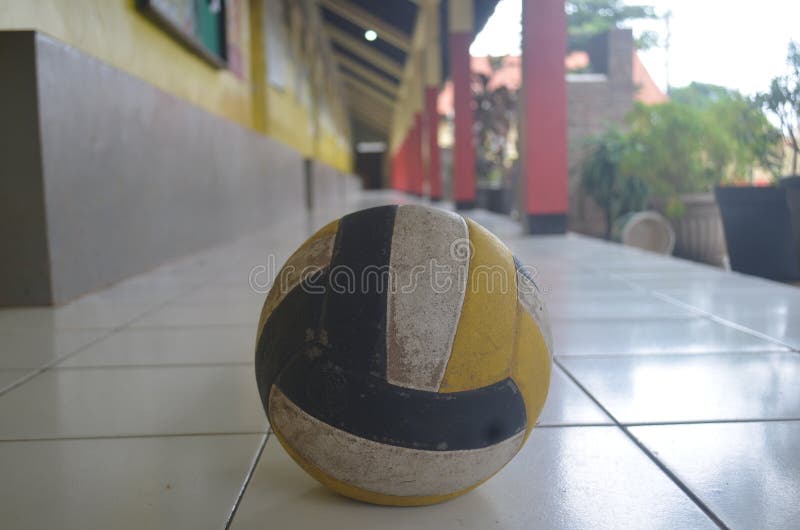 One Focused on Outdoor Volleyball Stock Photo - Image of activity ...