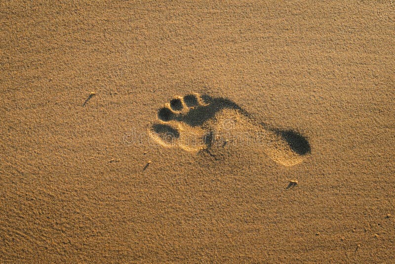 One Footprint of Human Feet on the Sand on the Beach at Sunset, Texture ...