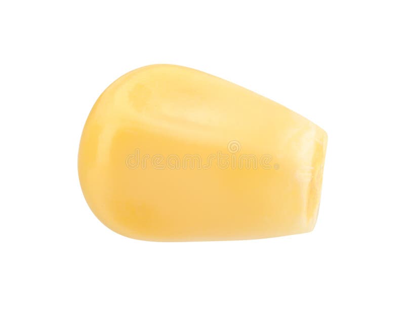 One Fresh Corn Kernel Isolated on White Stock Photo - Image of organic ...