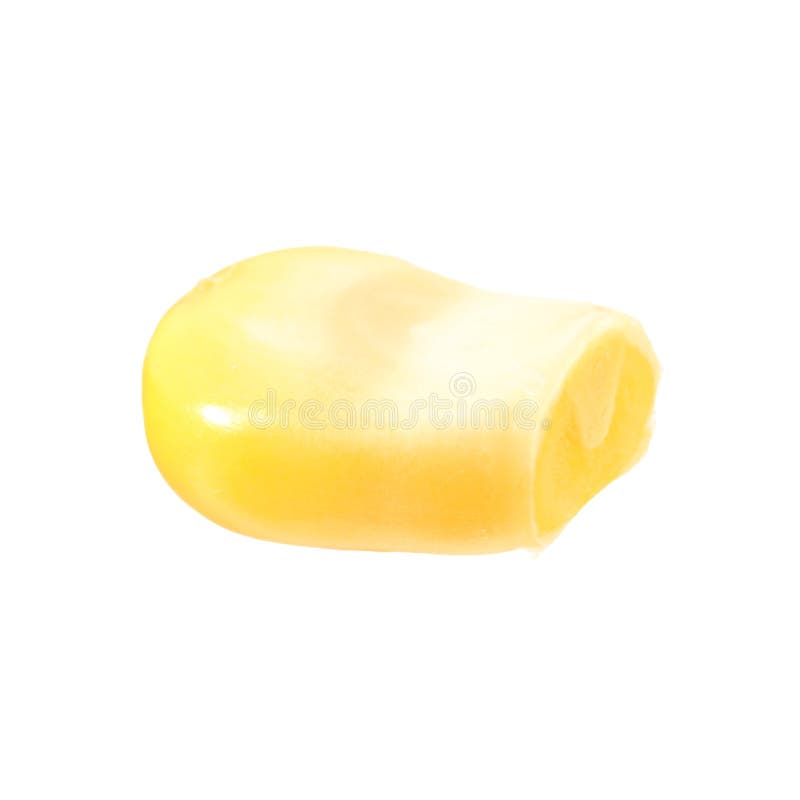 One Fresh Corn Kernel Isolated on White Stock Image - Image of diet ...