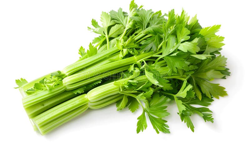 One Fresh Green Celery Bunch Isolated on White, Top View Stock Image ...