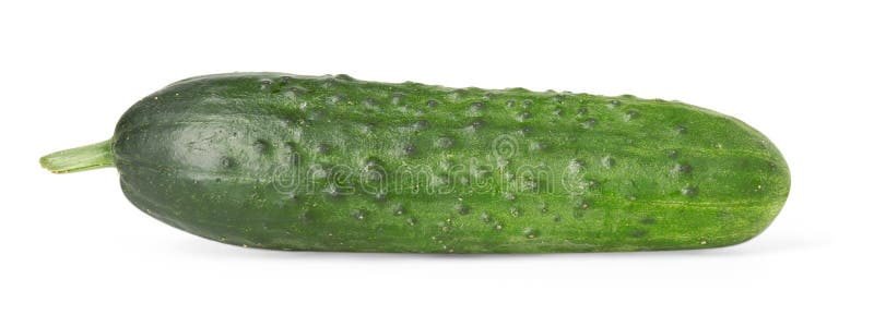 One Fresh Green Cucumber Isolated on White Stock Photo - Image of ...